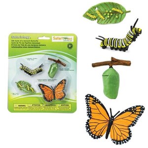 Life Cycle of a Butterfly Figurine Homeschool Learning Tool Home ...