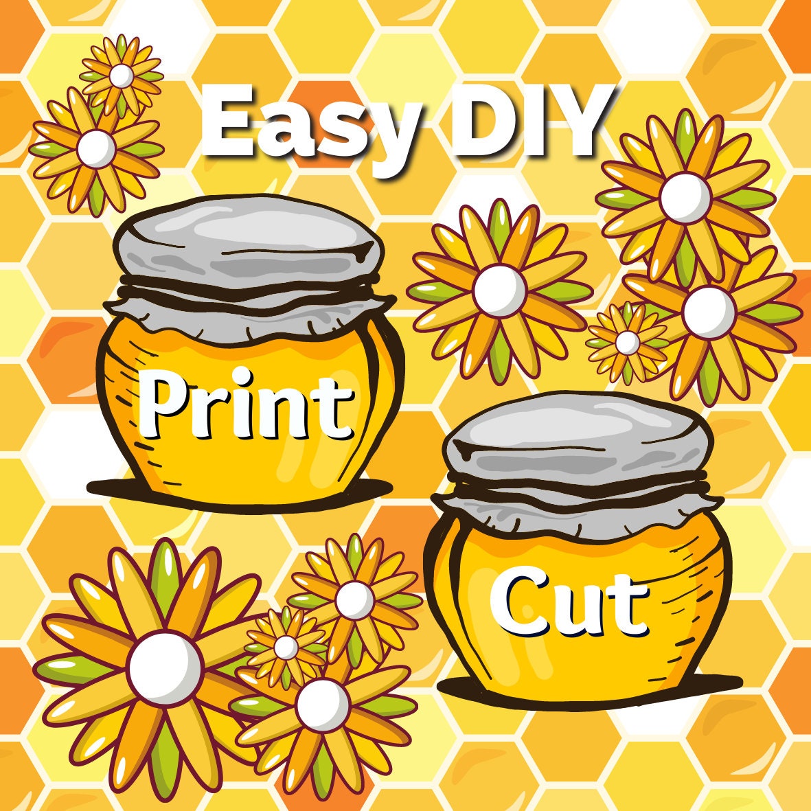 Honey Bee Life Cycle Matching Cards, Homeschool Printable (PDF File) - Etsy