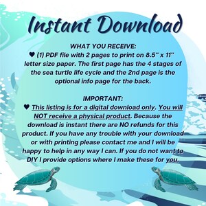 FLASH CARDS PRINTABLE: Green Sea Turtle Life Cycle Matching Cards ...