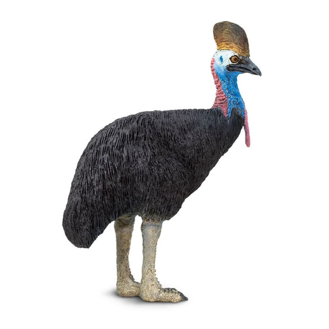 CASSOWARY Bird Figurine Figure Large Miniature for Crafts Figurines ...