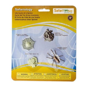 Life Cycle of a Spider Figurines Homeschool Learning Tools Home ...