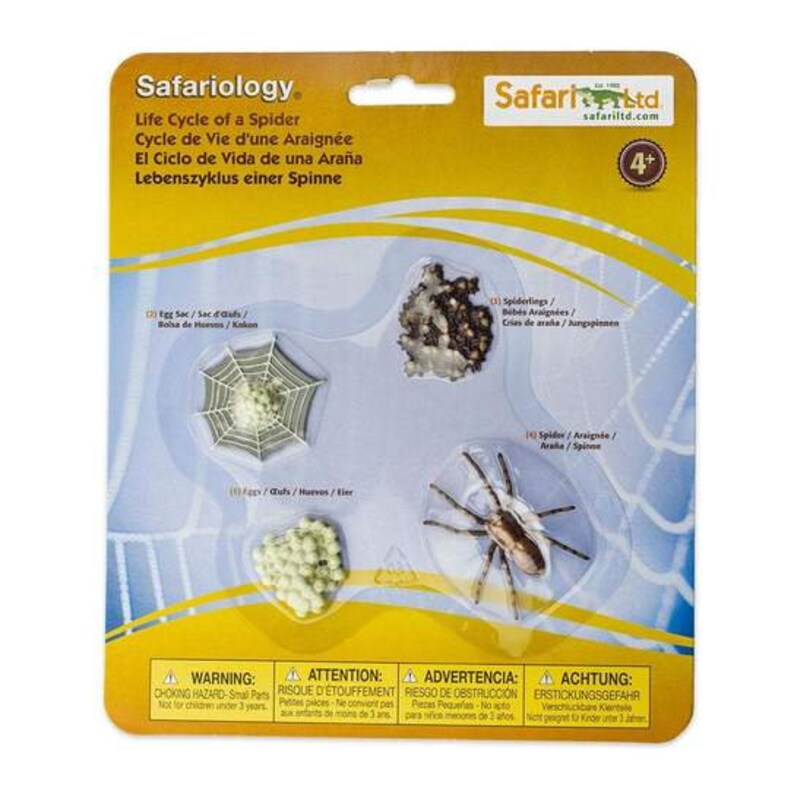 Life Cycle of a Spider Figurines Homeschool Learning Tools Home ...
