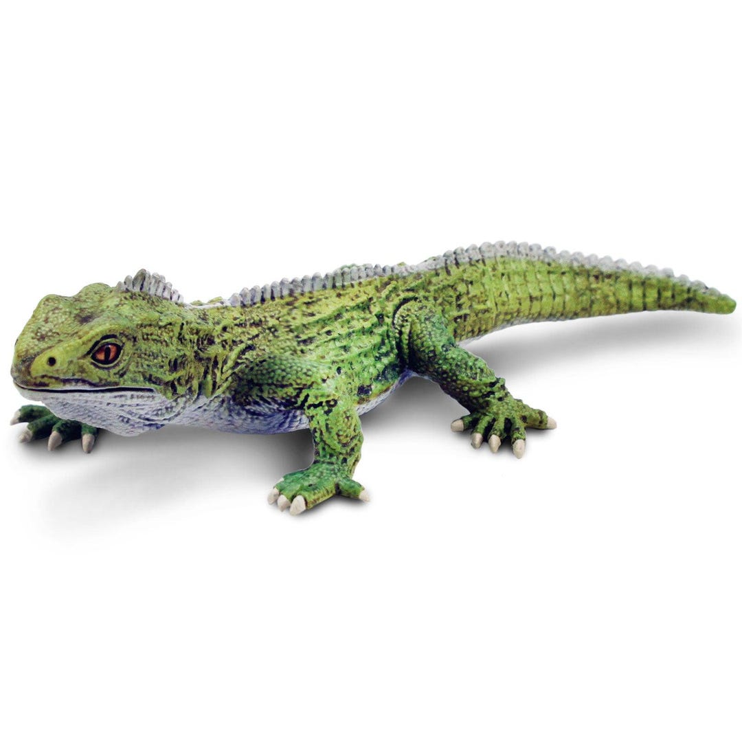 TUATARA REPTILE Figurine Figures Large Miniature Figurines Plastic ...
