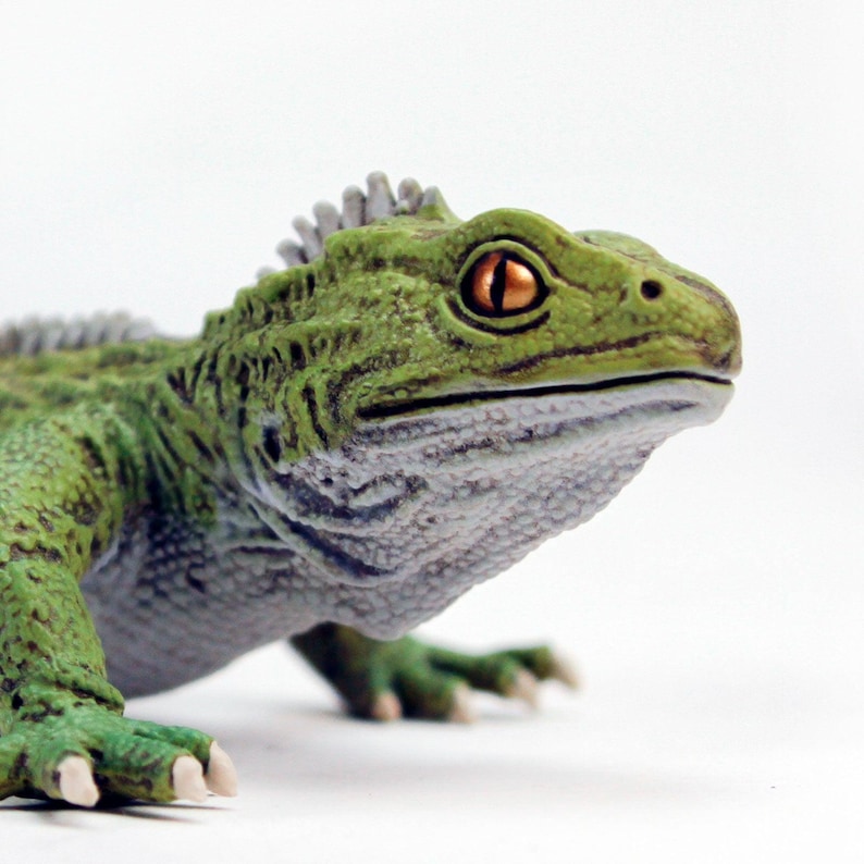 TUATARA REPTILE Figurine Figures Large Miniature Figurines Plastic ...