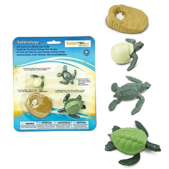 Life Cycle of a Sea Turtle Figurine Miniatures Homeschool Learning Tool ...