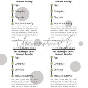 PRINTABLE Matching Cards Identification Flash Cards Monarch Butterfly ...