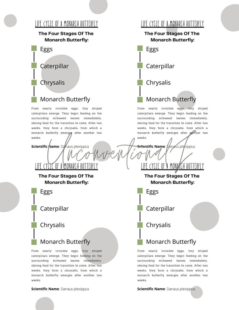 PRINTABLE Matching Cards Identification Flash Cards Monarch - Etsy