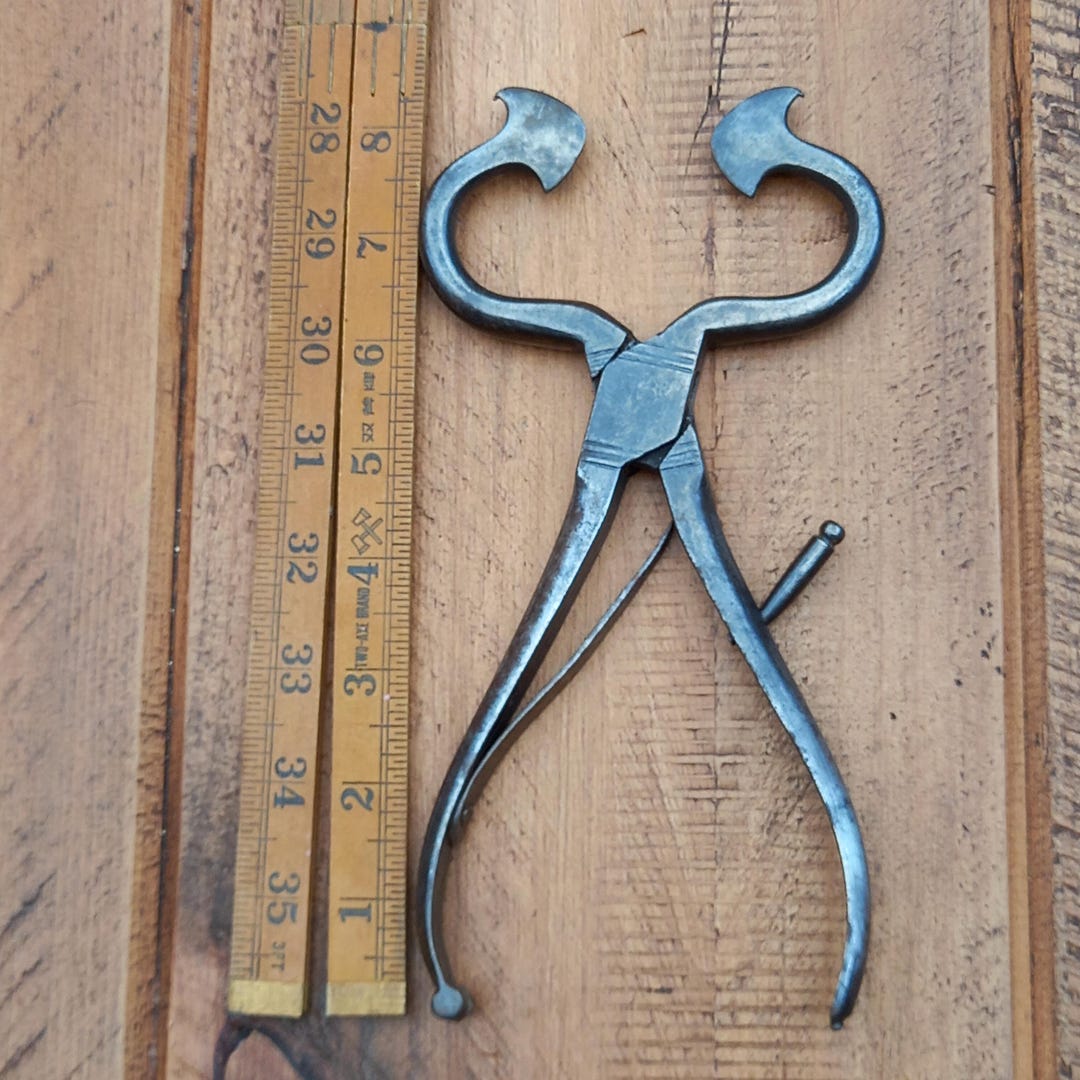 Antique Circa 1790 Sugar Snips Black Smith Made Lost Clip - Etsy