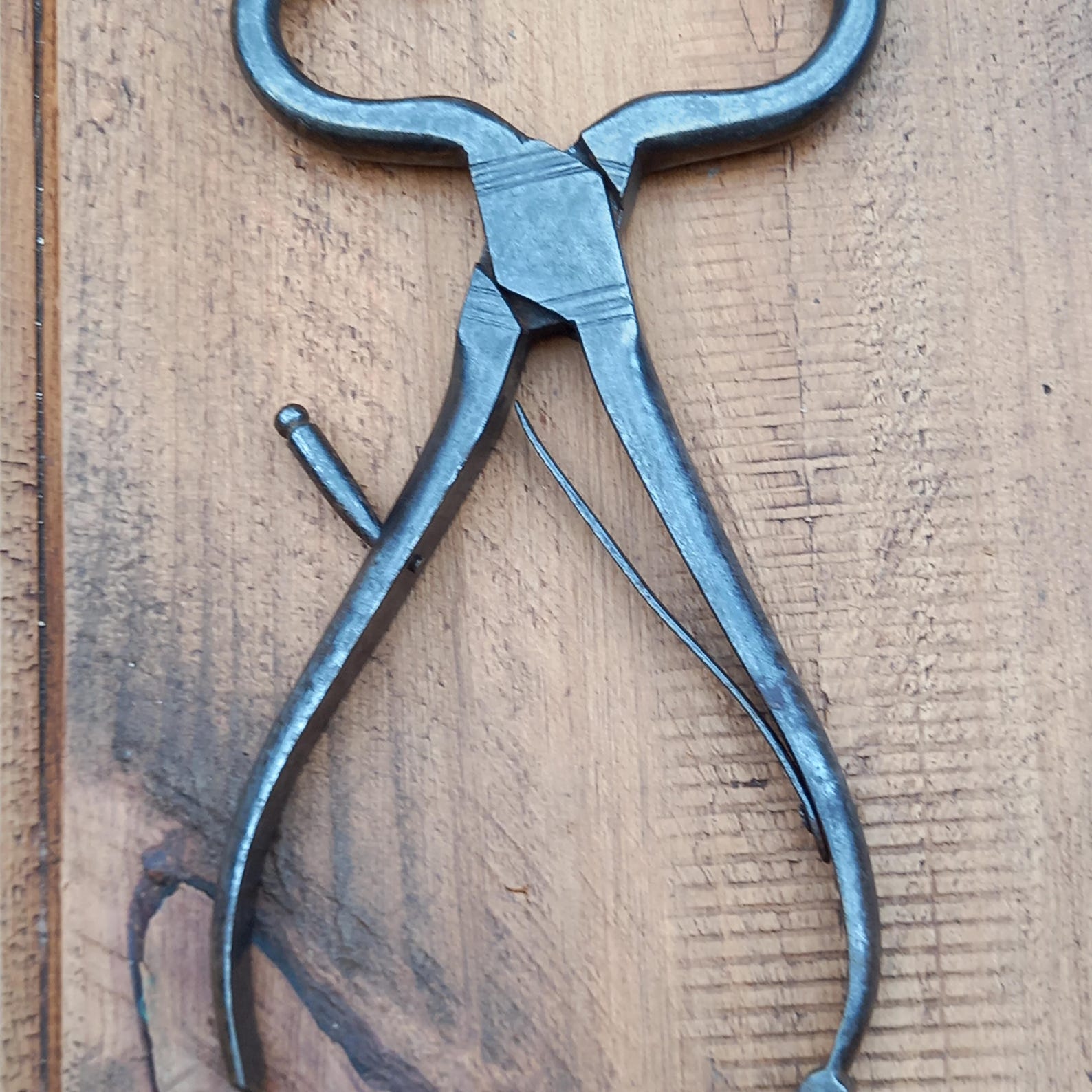 Antique Circa 1790 Sugar Snips Black Smith Made Lost Clip - Etsy