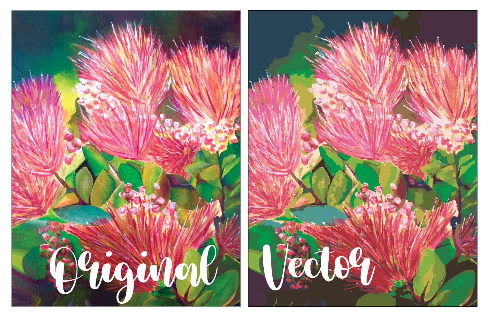 Ohia Lehua INSTANT DOWNLOAD Native Hawaiian Flower Digital - Etsy