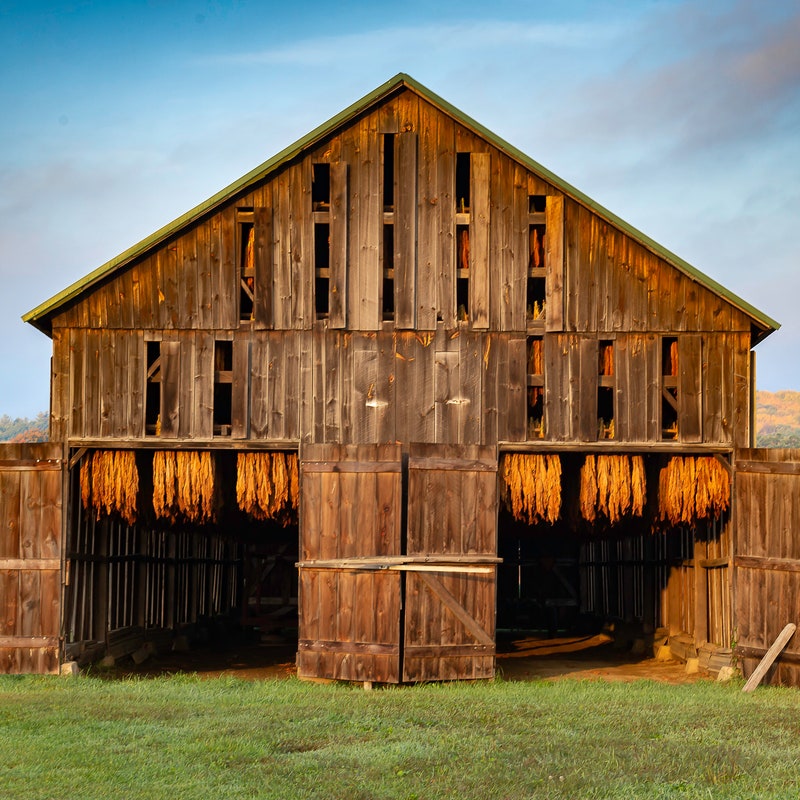 Tobacco Barn Painting - Etsy