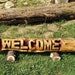 3 Foot Cedar Name Log, Two Base Logs, Rustic Yard Sign, Chainsaw ...