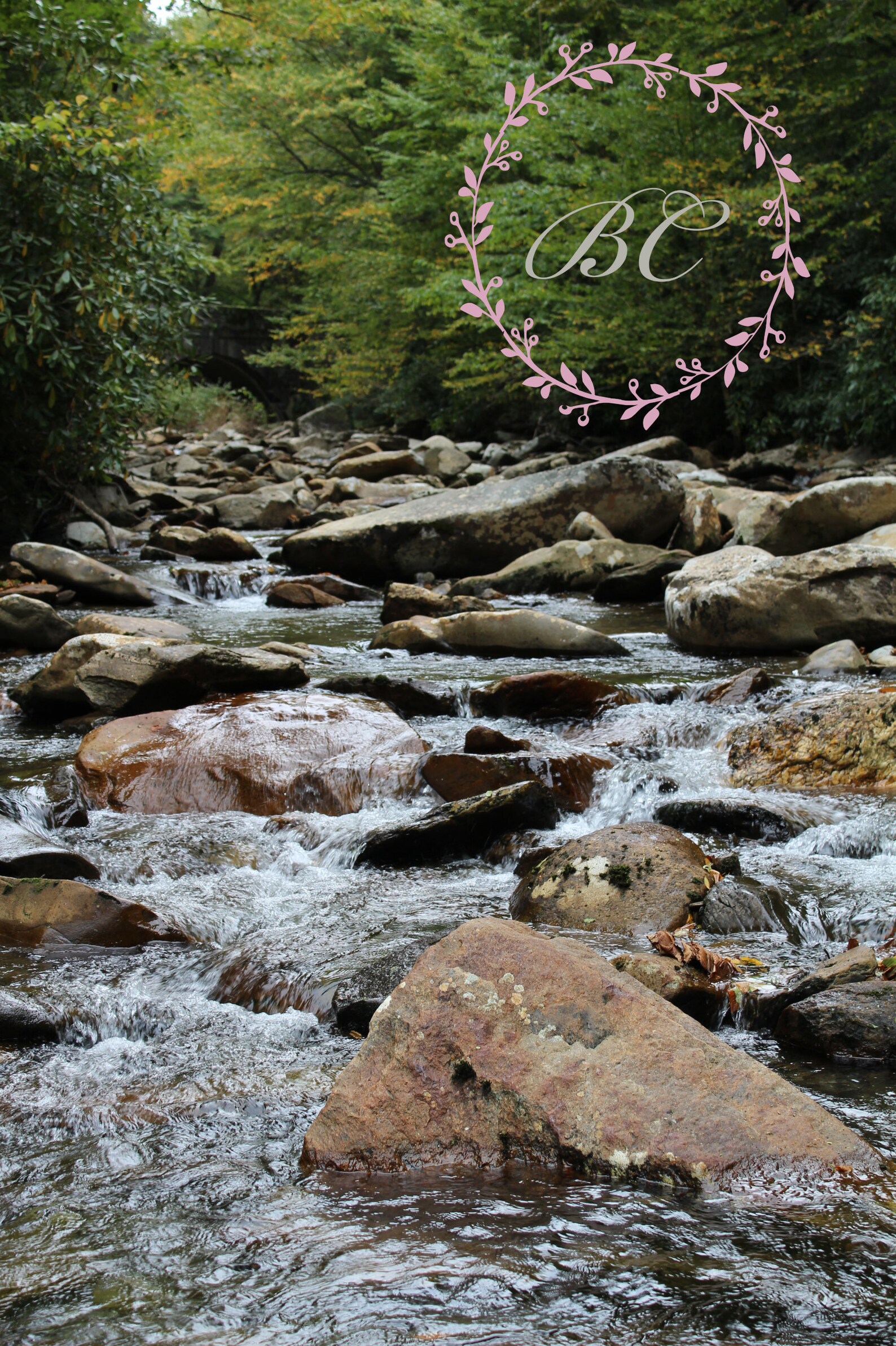 Tennessee Creek/ Digital Download/ Nature Photography - Etsy