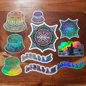EDM and Music Festival stickers Swipe to see all put in | Etsy