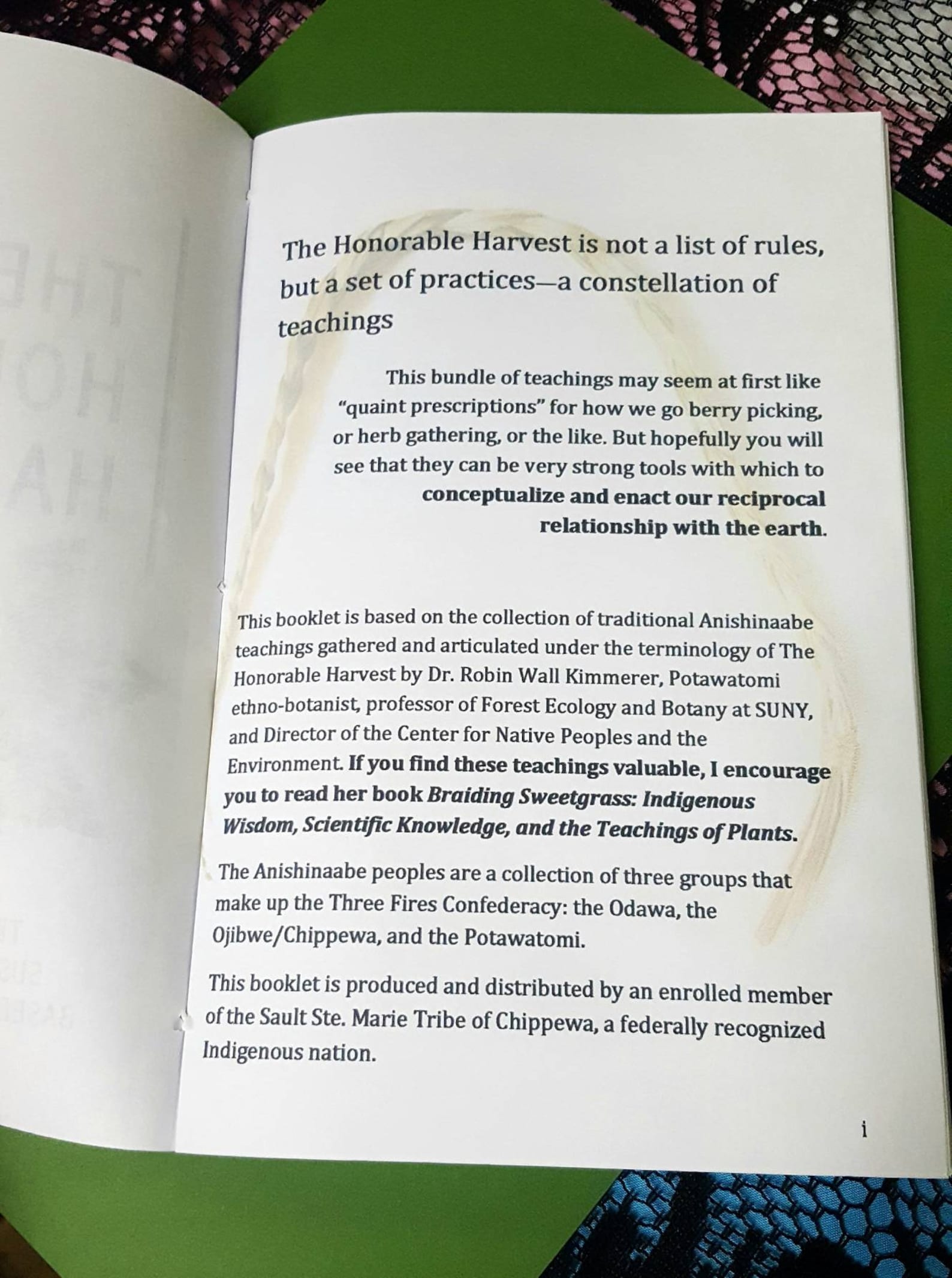 The Honorable Harvest: Teachings of Ethical and Sustainable Plant ...