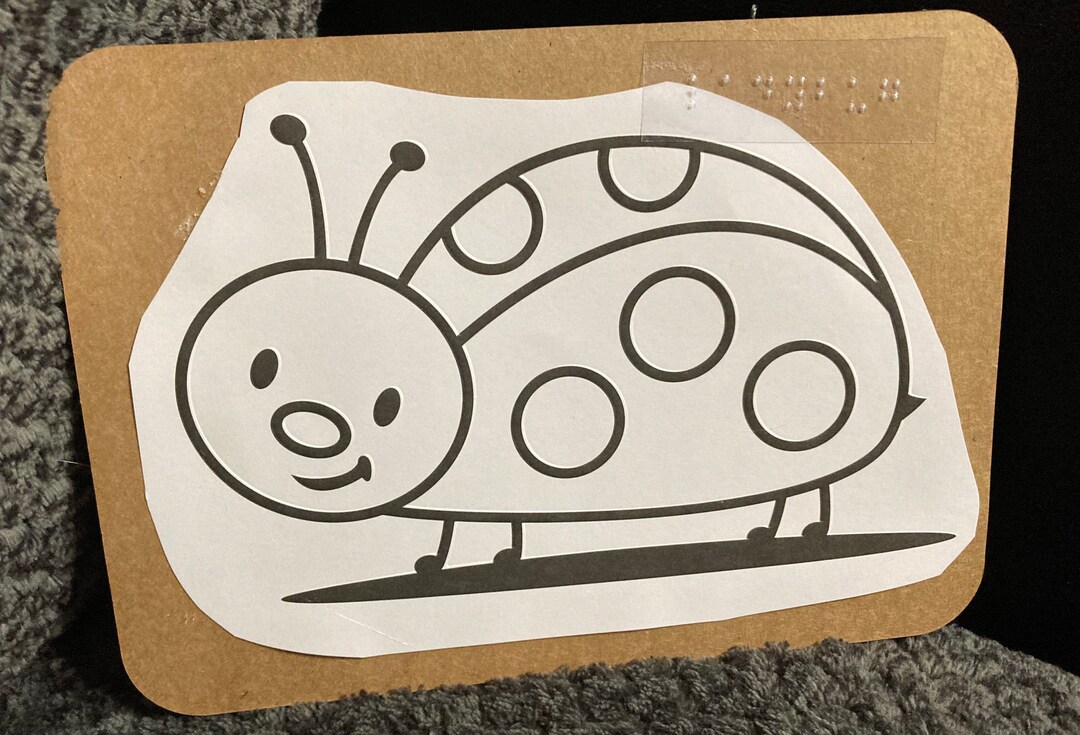 Braille Raised Line Drawing Postcard- Personalizable, Everyday ...