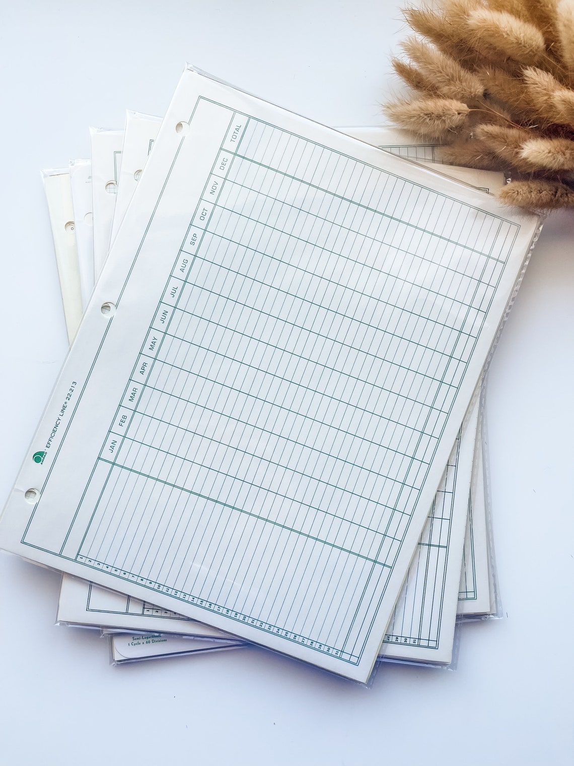 20 Piece Full Sheet Graph Paper Variety Pack - Vintage Paper Variety ...