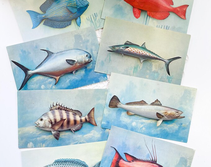 Vintage Fish Postcard Set #3 - Ephemera - Vintage Paper - Junk Journal ...