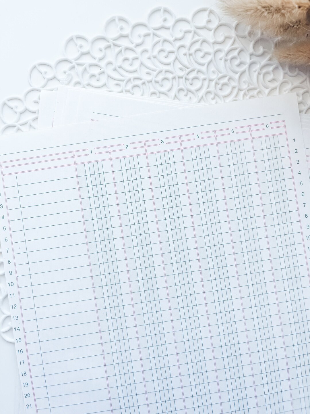 Vintage Numbered Pink and Green Double-sided Ledger Sheets 10 Sheets ...