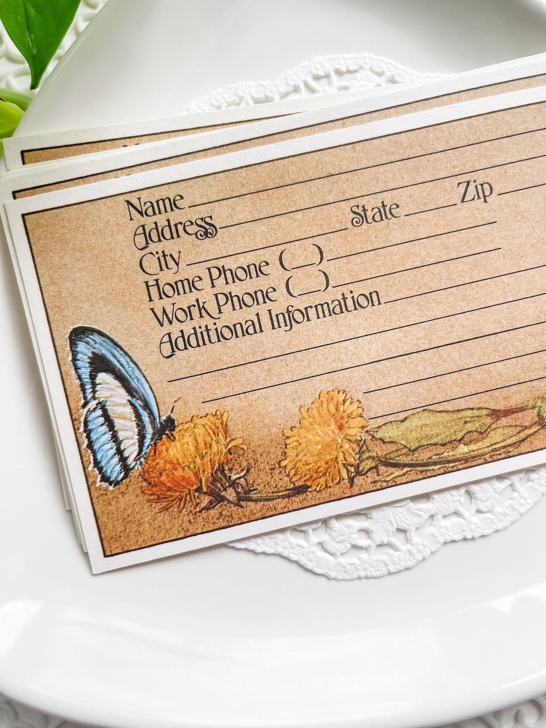 8 Vintage Current Butterfly Name and Address Cards - Vintage Journal ...