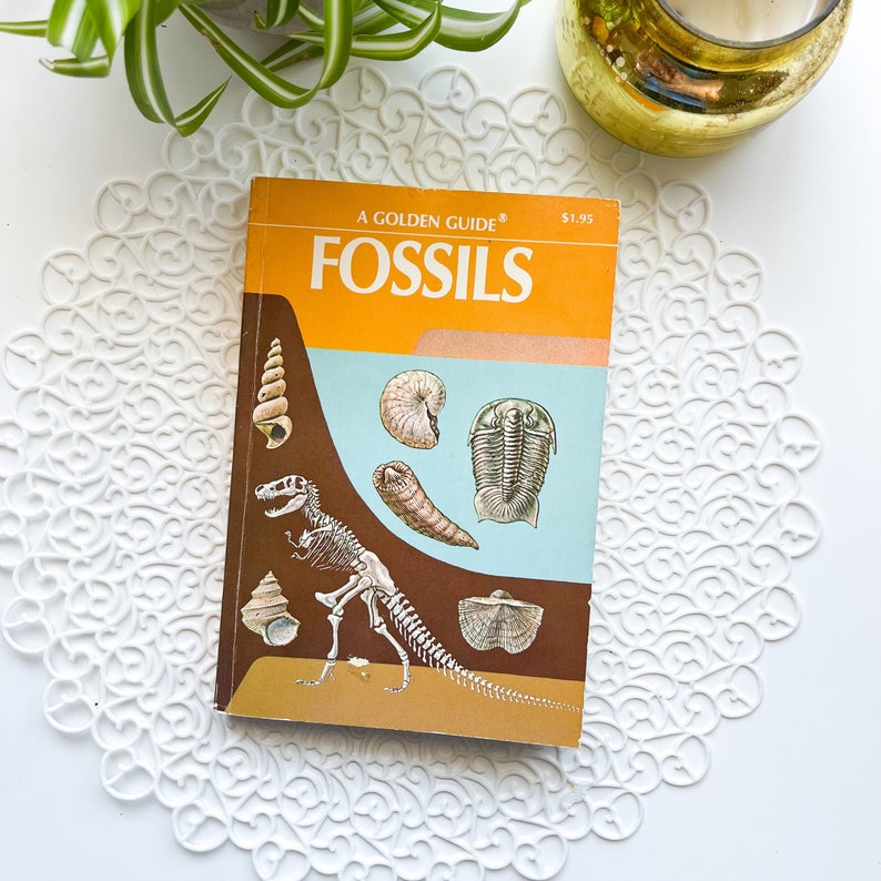 1962 Fossils A Golden Guide Vintage Reference Book - Etsy