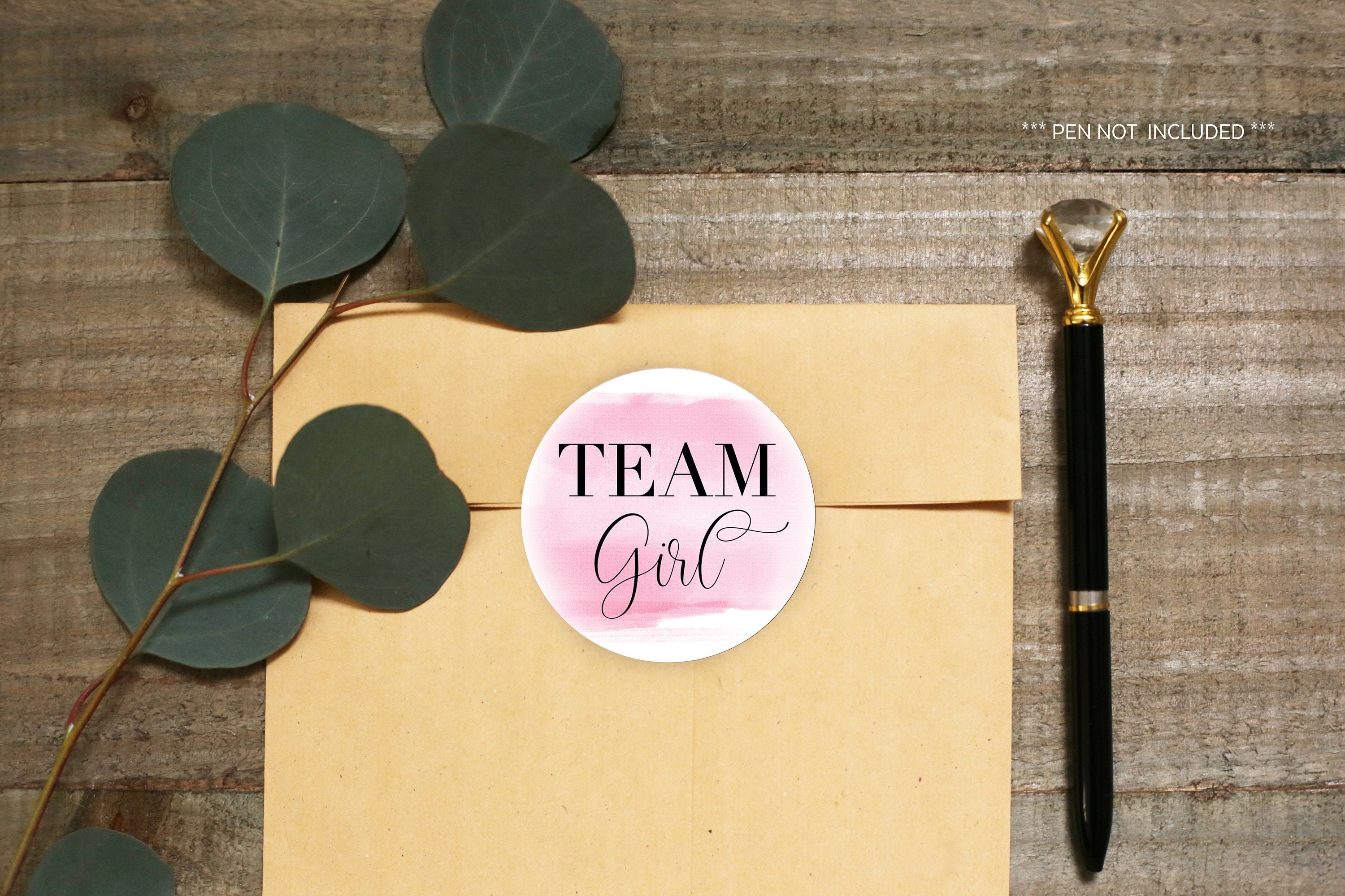 Gender Reveal Stickers Team Girl Stickers Team Boy Stickers - Etsy