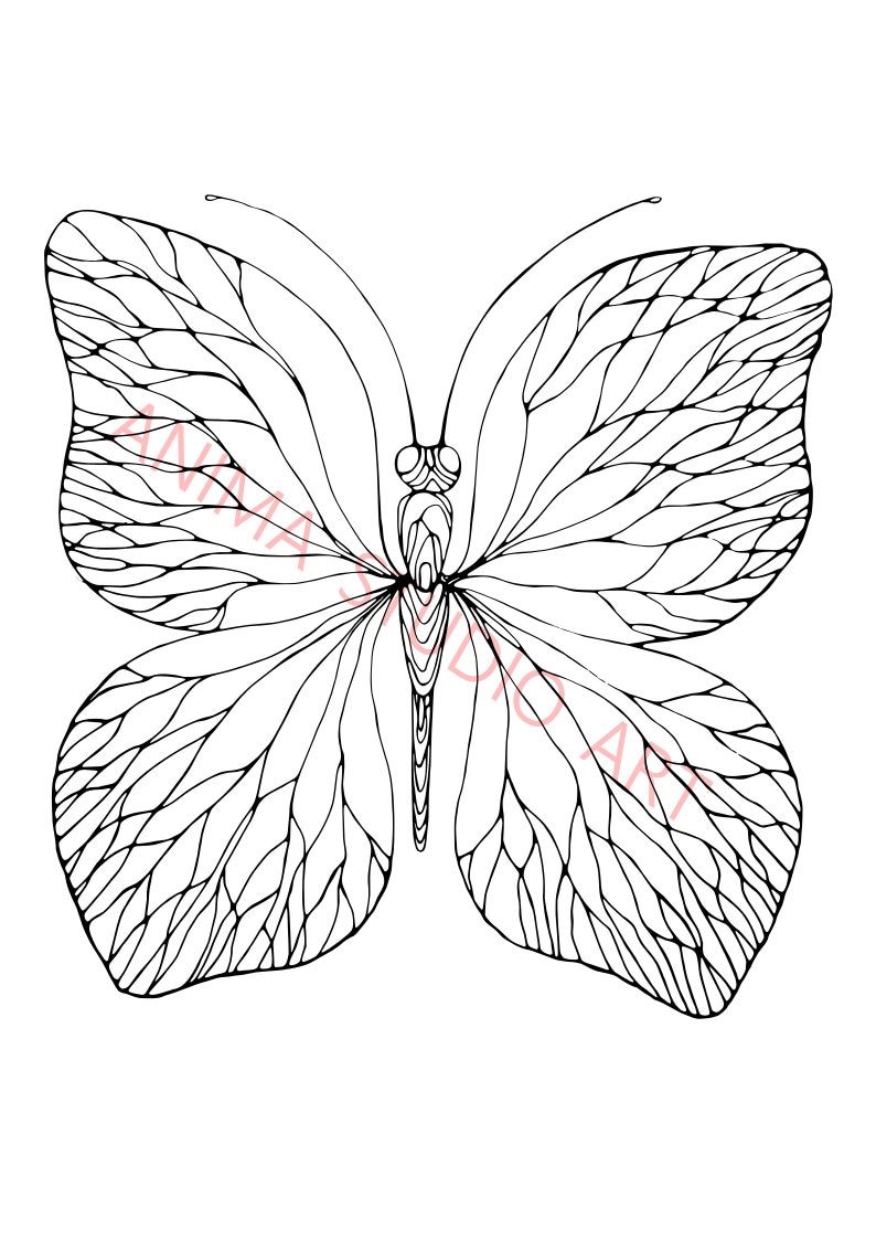Abstract Butterflies Vol.2, 4 Coloring Pages, B&w + Gray, A4 Portrait ...
