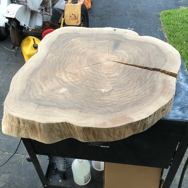 Tree Slab Coffee Table - Etsy UK
