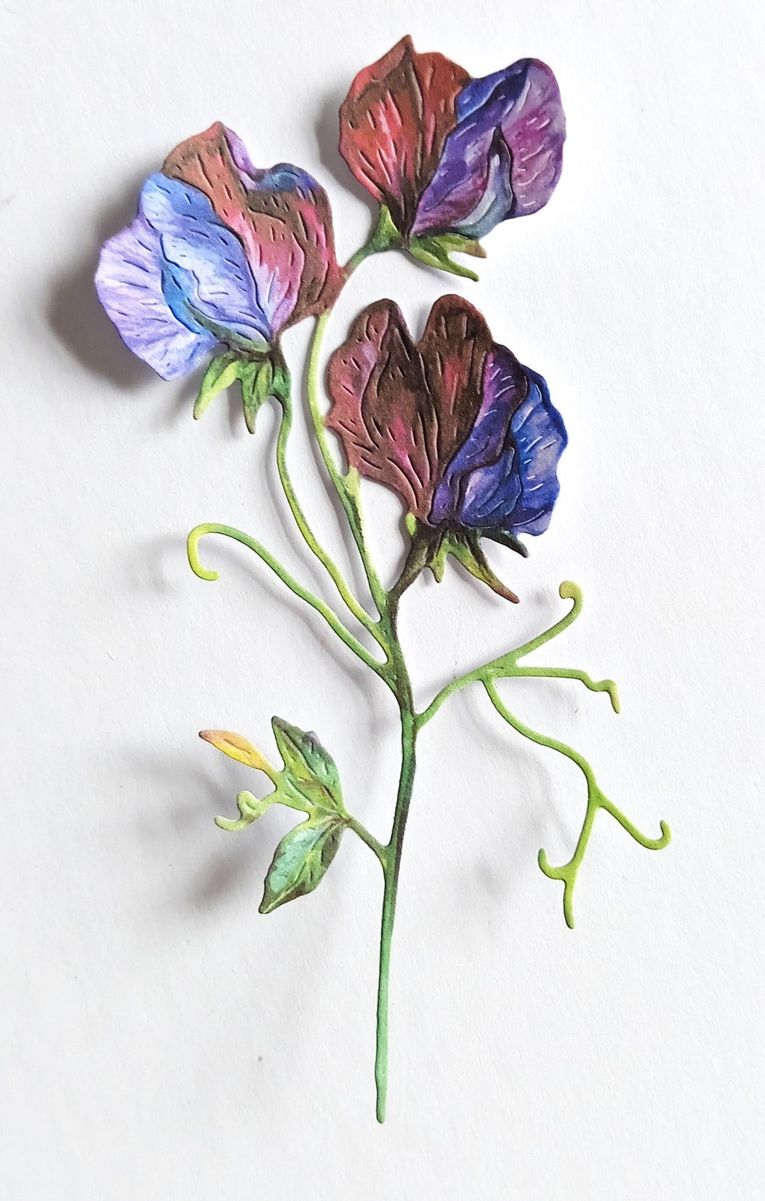 4 X Purple Sweet Pea Flower Die Cuts, Tall Flower Cut Outs for ...