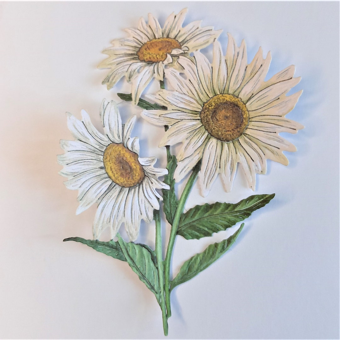 5x Beige Daisy Flower Bunch Die Cuts, Daisy Paper Flowers Paper Cut ...