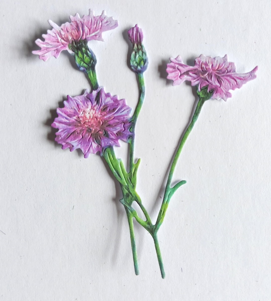 6 Pink Cornflower Die Cuts, Paper Cut Out Flower Bunches for ...