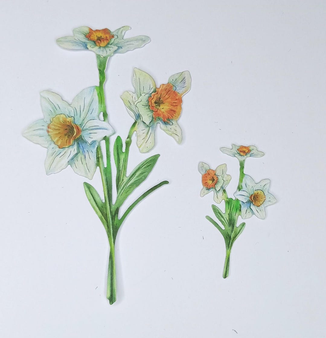 White/yellow Daffodil Flower Die Cuts X 8, Large and Small Cut Out ...