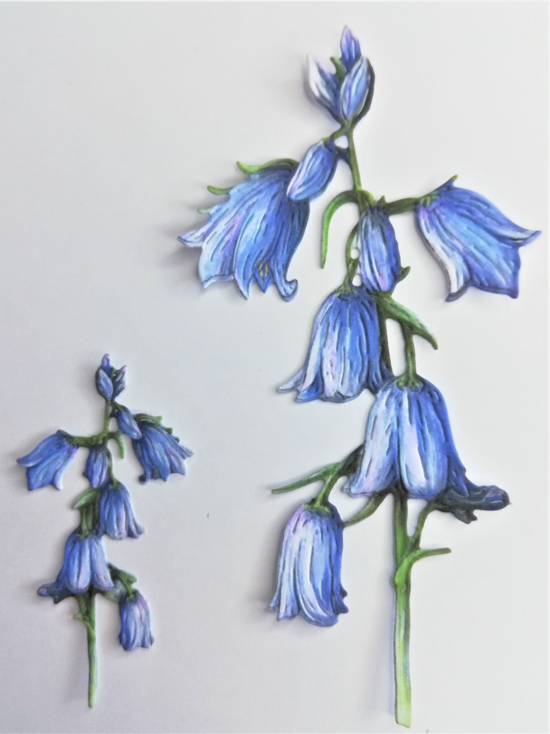 12 Bluebell Flower Die Cuts, 6 Sets of 2 Blue Flower Cut Outs, Card ...