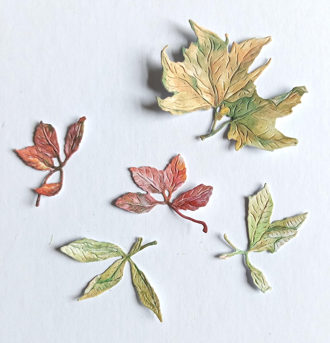 30 Autumn Leaf Die Cuts, Paper Cut Out Fall Leaves, Mixed Colour ...