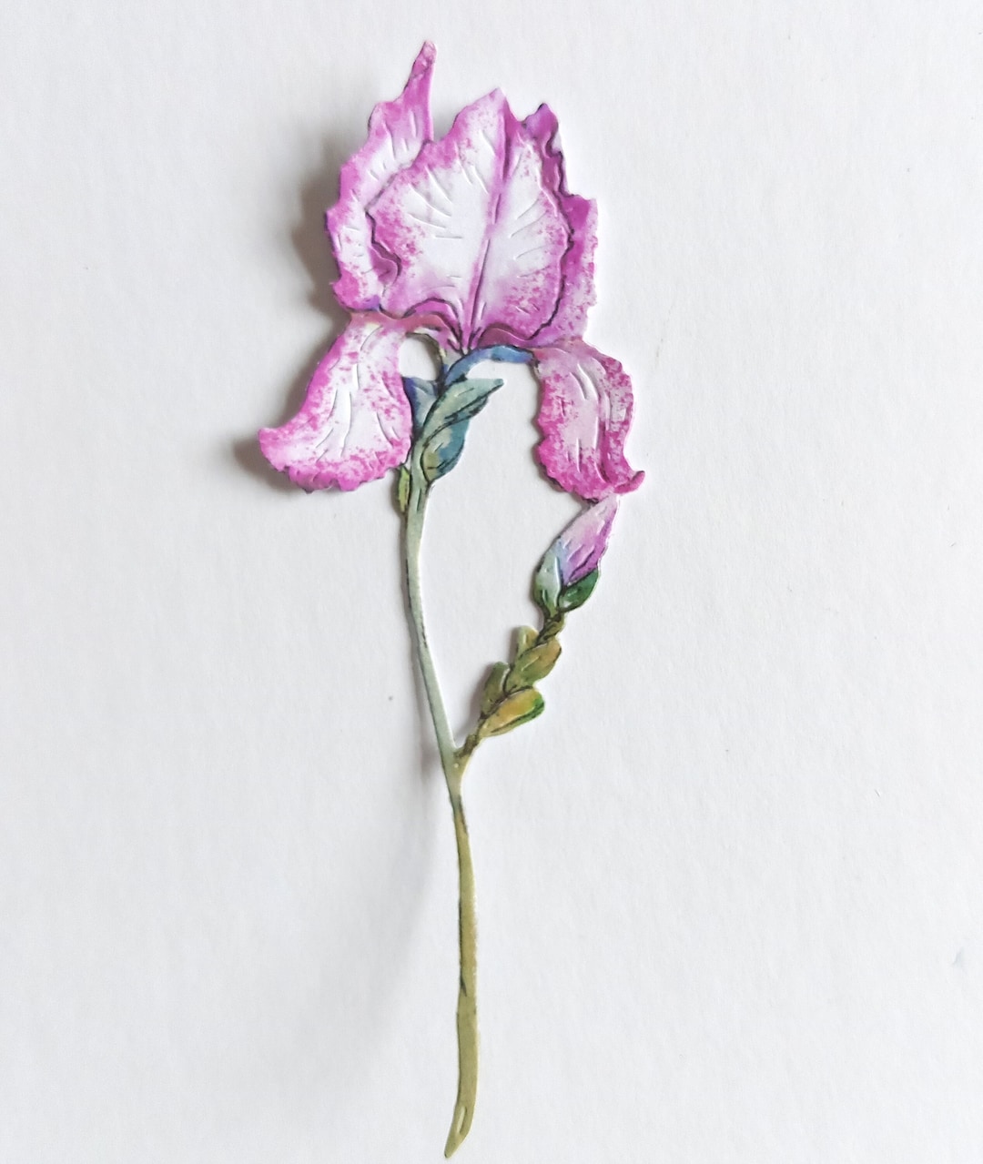 6 X Pink and White Iris Flower Die Cuts, Tall Flower Cut Outs for ...