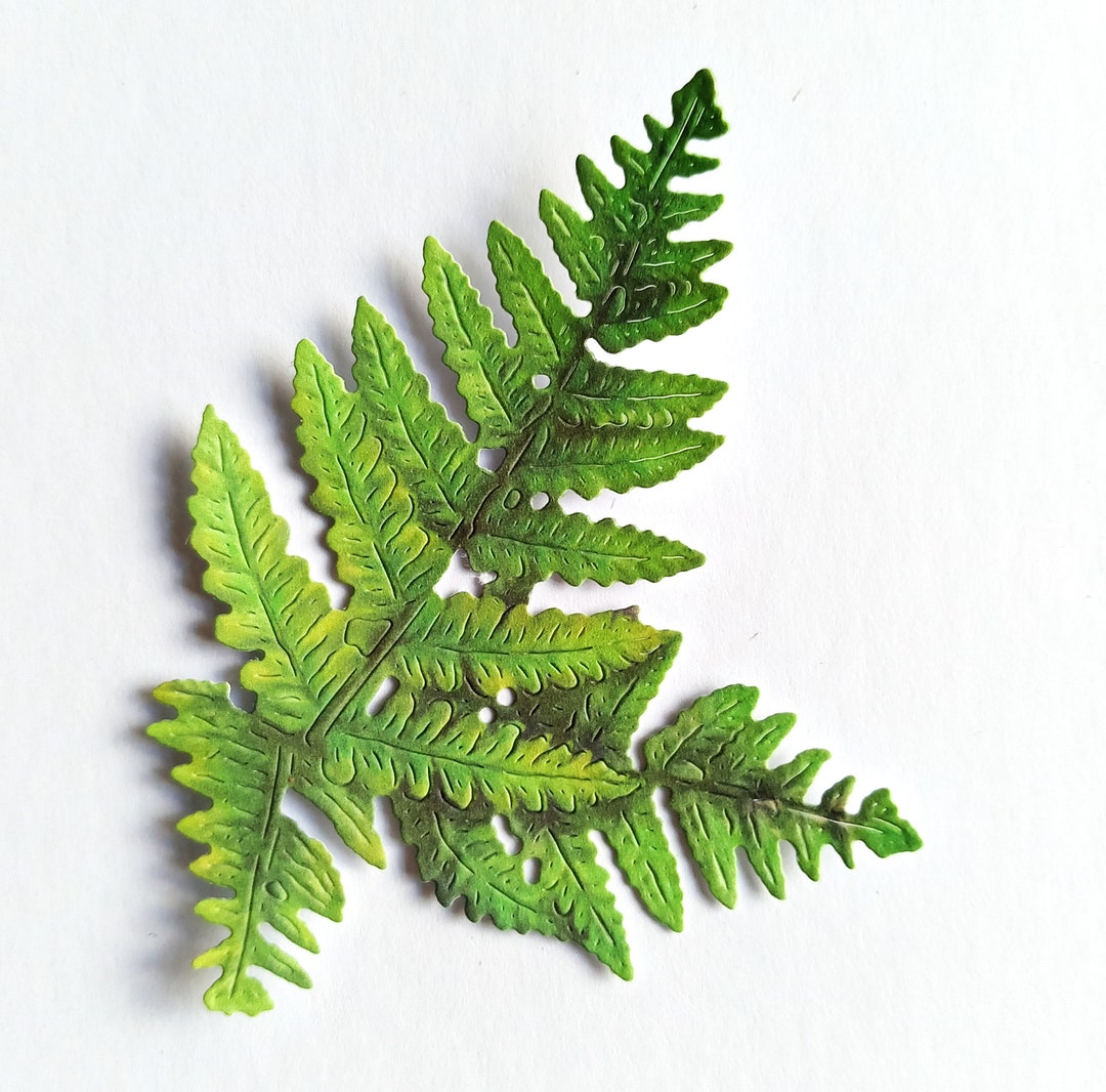 6 X Green Fern Leaves Die Cuts, Autumn / Fall Colour Foliage for Card ...