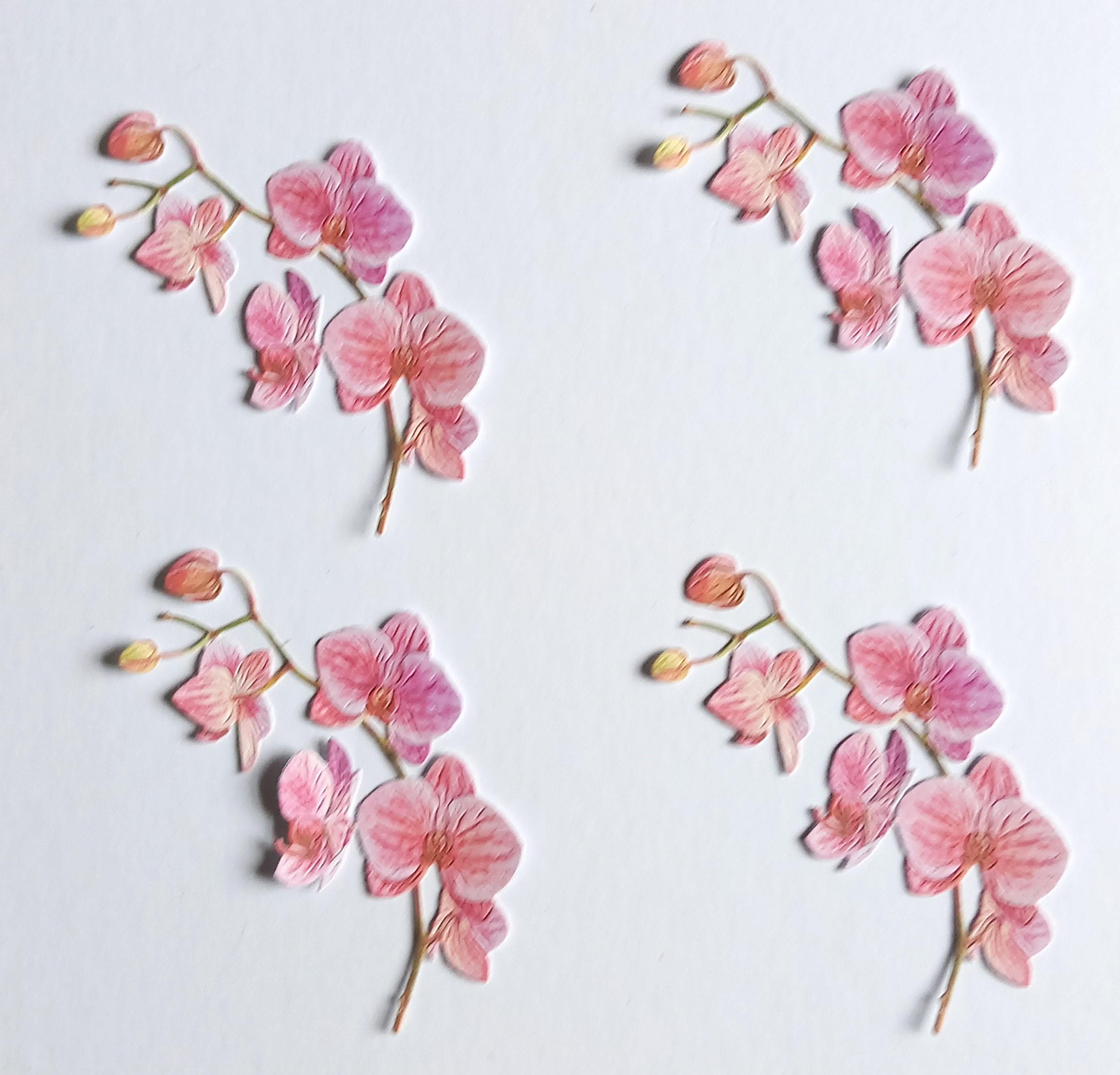 4 X Pink Orchid Die Cuts, Paper Cut Out Flower Sprigs for Scrapbooking ...