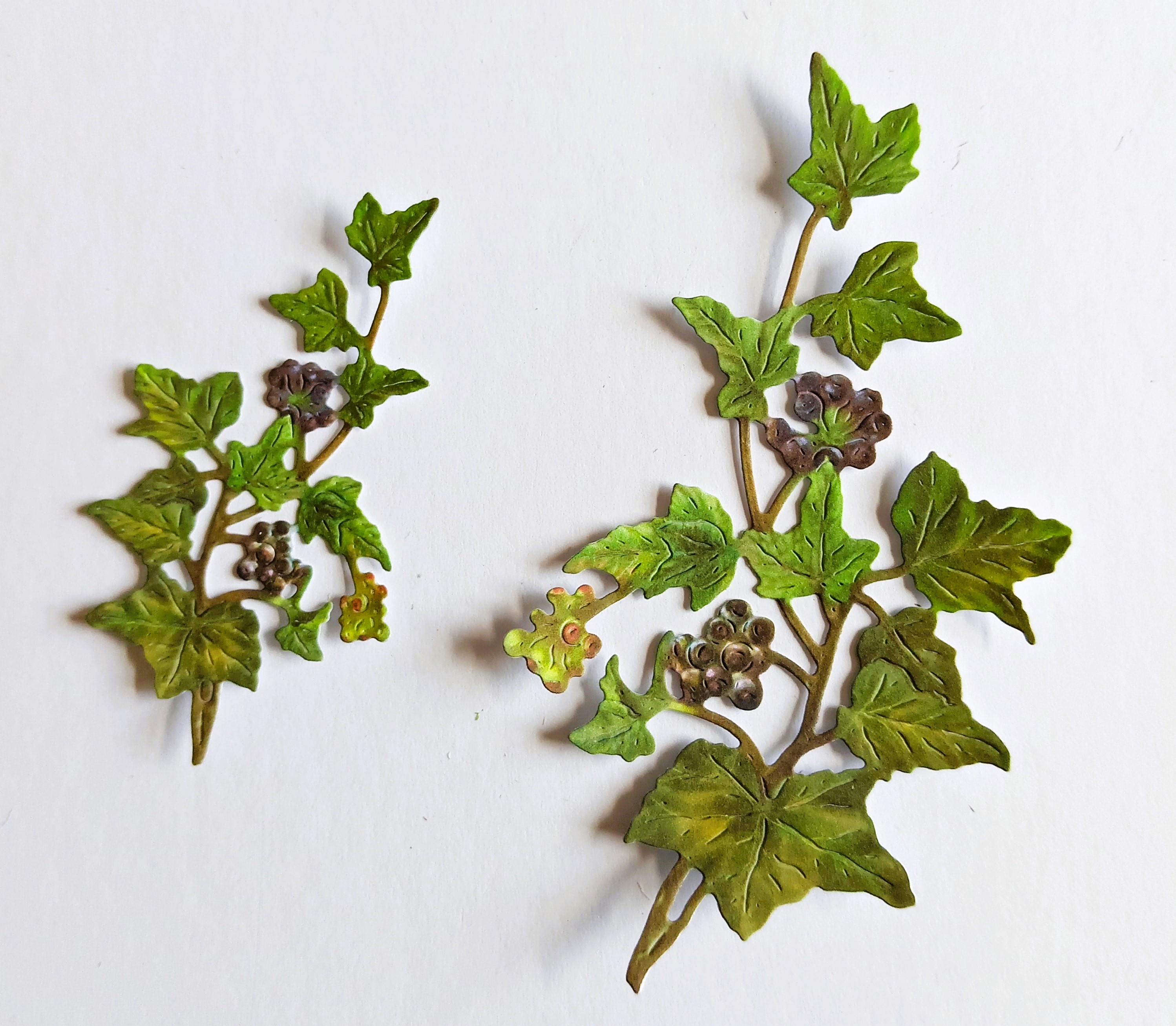 Ivy Cut Out