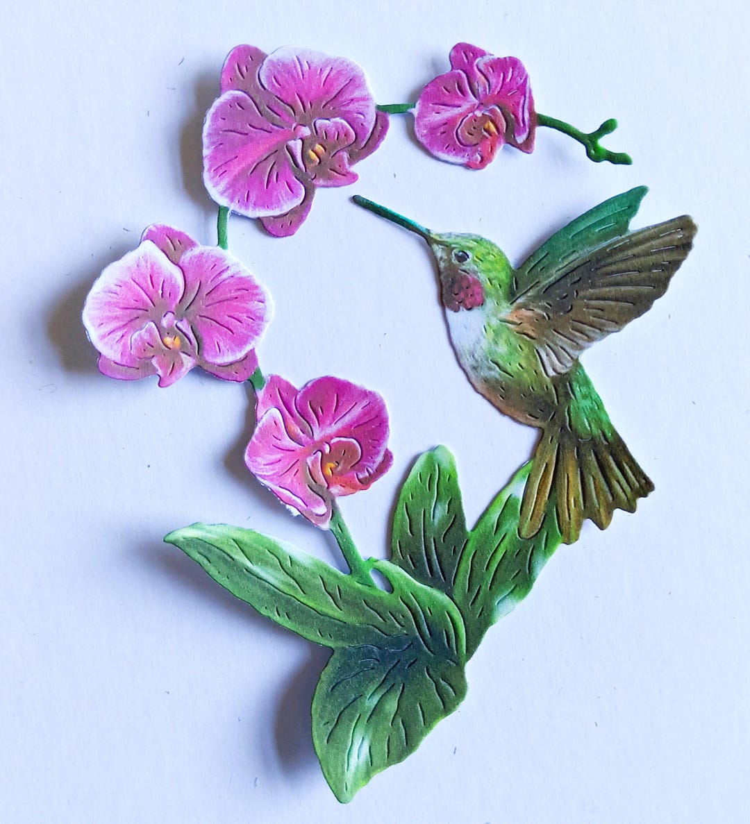 6 X Hummingbird and Pink Orchid Flower Arc Die Cuts, Bird and Flowers ...