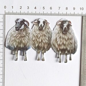 Fun Sheep Die Cuts, 4 Sets of 3 Paper Cut Out Ewes for Scrapbooking ...
