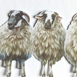 Fun Sheep Die Cuts, 4 Sets of 3 Paper Cut Out Ewes for Scrapbooking ...