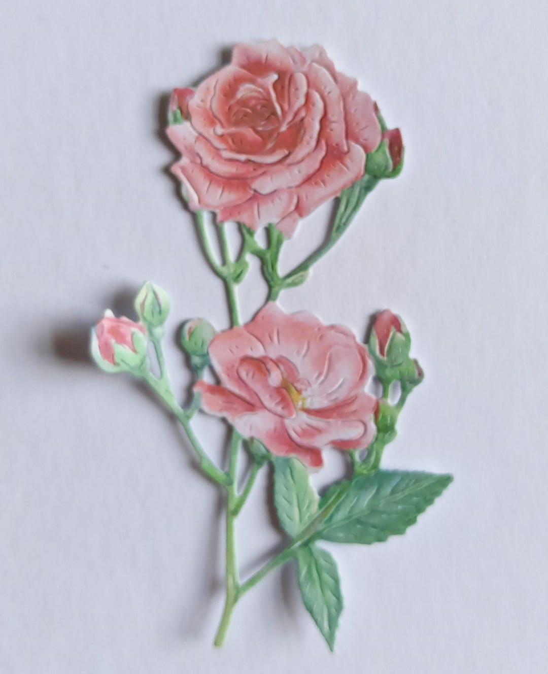 6 Pink Wild Roses Die Cuts, Paper Cut Out Flower Sprig for Scrapbooking ...