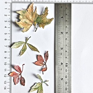 30 Autumn Leaf Die Cuts, Paper Cut Out Fall Leaves, Mixed Colour ...