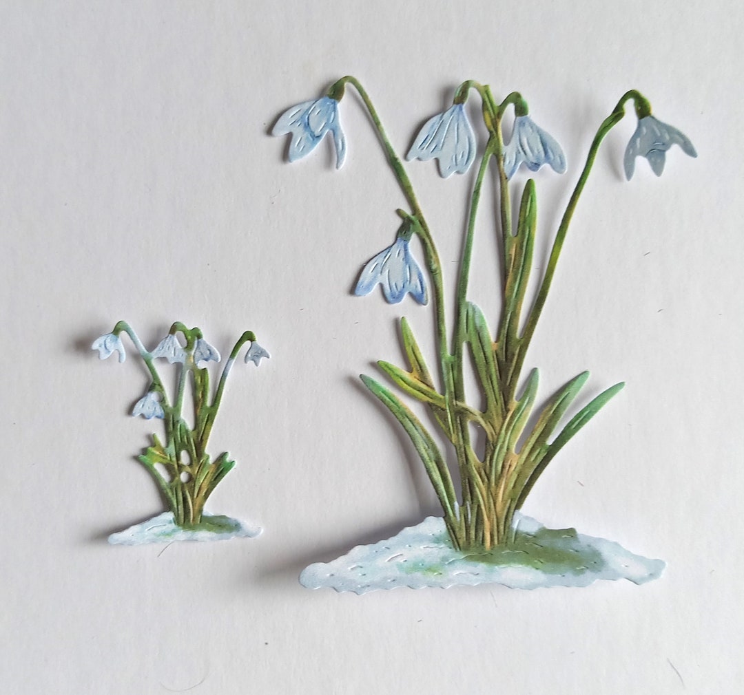 6 X Snowdrop Flower Die Cuts, 3 Sets of 2 White Flower Cut Outs With ...