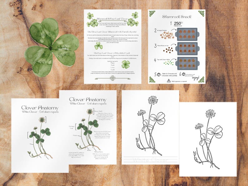 Ireland World Study Unit St. Patrick's Day Homeschool Resources ...