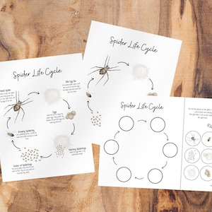 Charlotte’s Web Nature & Literature Study | Charlotte Mason Living Book ...