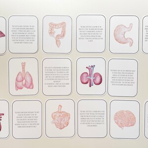 Human Organs Card Set Digital Download Anatomy Flash Cards for Toddlers ...