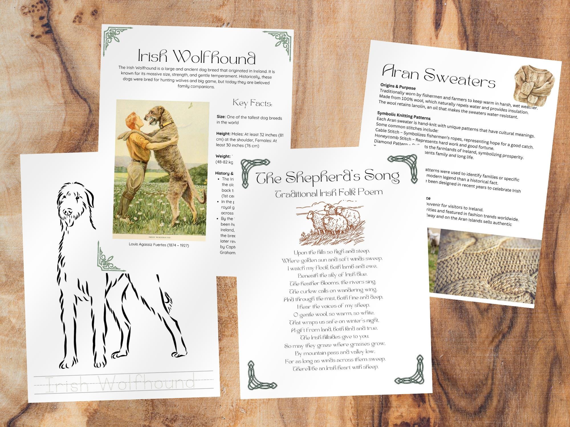 Ireland World Study Unit St. Patrick's Day Homeschool Resources ...