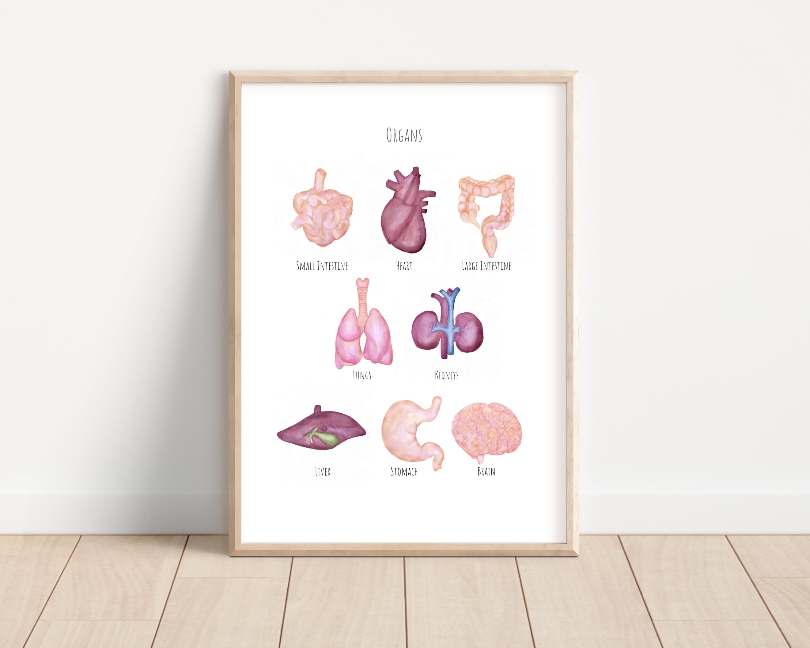 Organs Poster Human Anatomy Digital Download Classroom Wall Art ...
