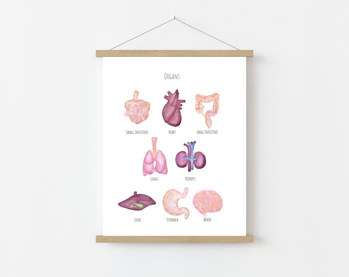 HERBAL BODY MAP - Etsy Canada